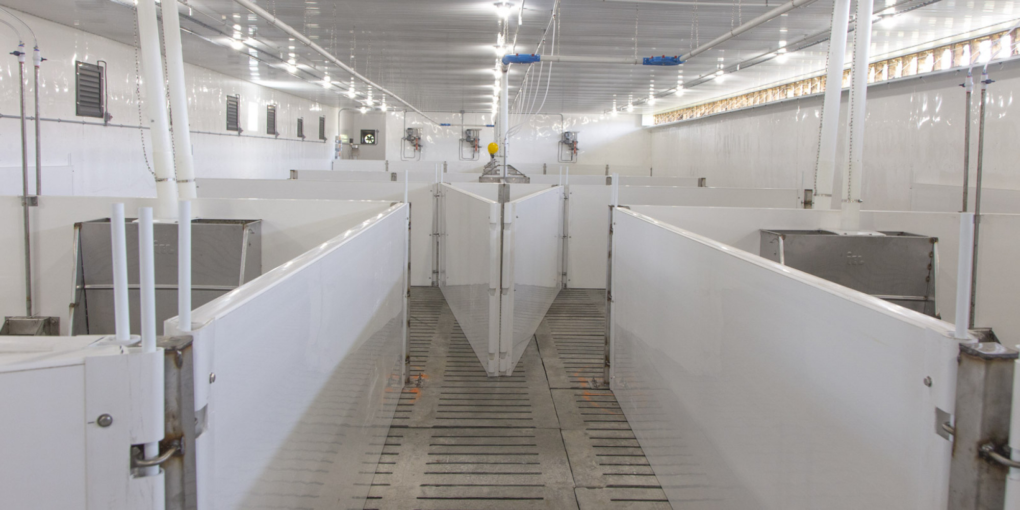 Norlock PVC Divider Panels | Buy at AGRICLE.com | Agriclé