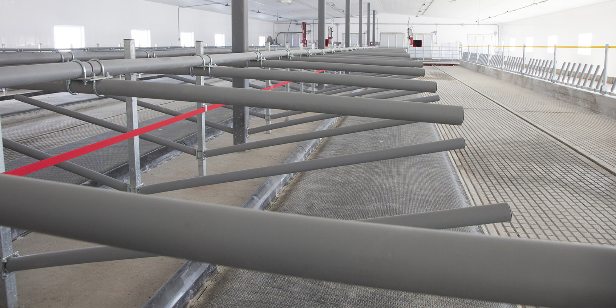 Agricultural Flexible Pipe For Free Stall Dairy Barn | Agriclé