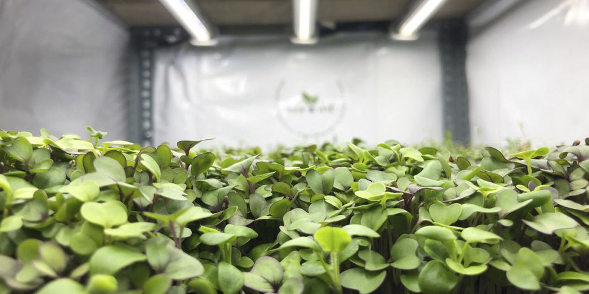 Fertilizer Injection System - Permaculture | Agriclé