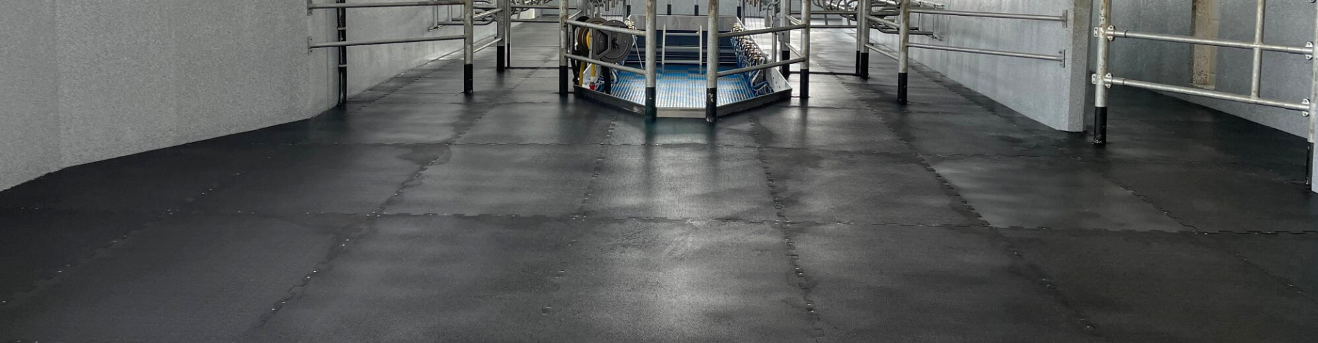 Everything you need to know before buying your cow mats - Blog | Agriclé