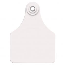 Global Large Cattle Ear Tags, White, 25 Pack | Agriclé